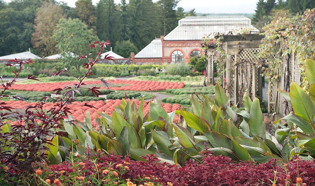 Preparing Biltmore's Historic Gardens for Fall - Biltmore