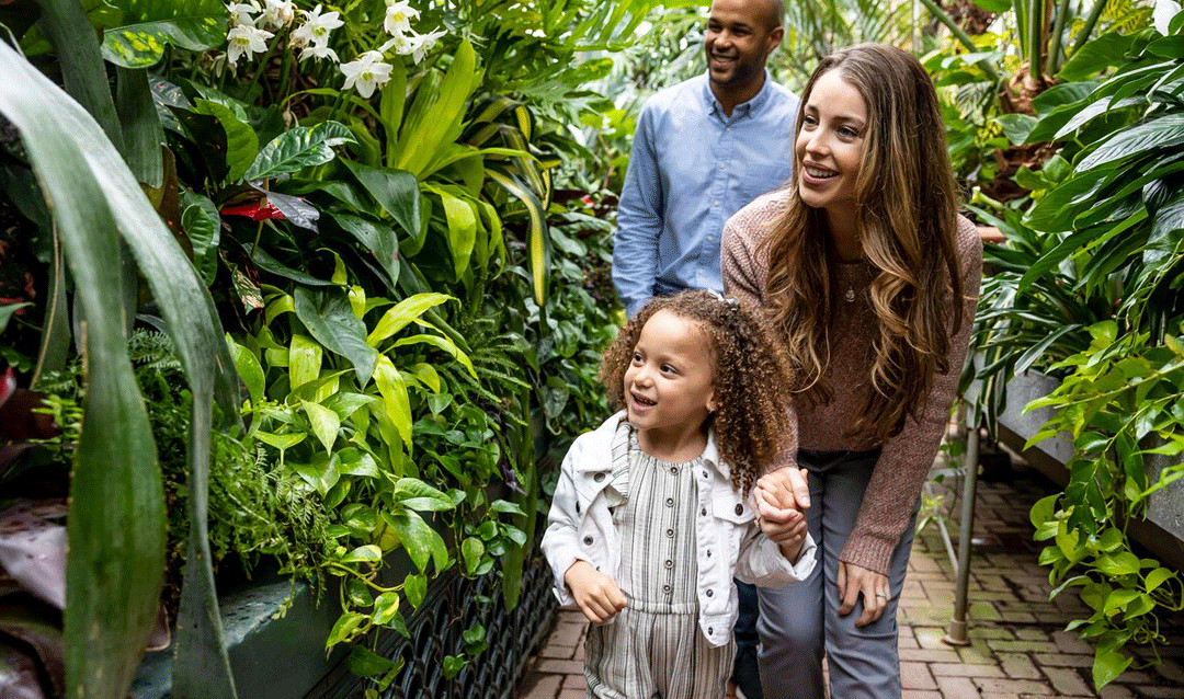 Take A Tropical Escape In Our Conservatory - Biltmore