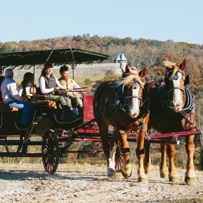 30-Minute Carriage Ride - Biltmore
