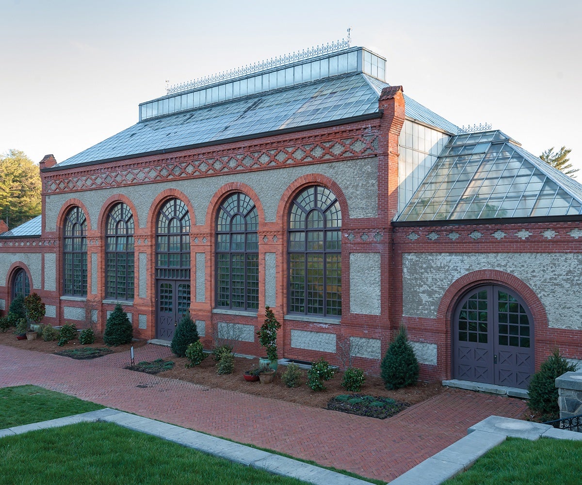 Winter at Biltmore - Biltmore