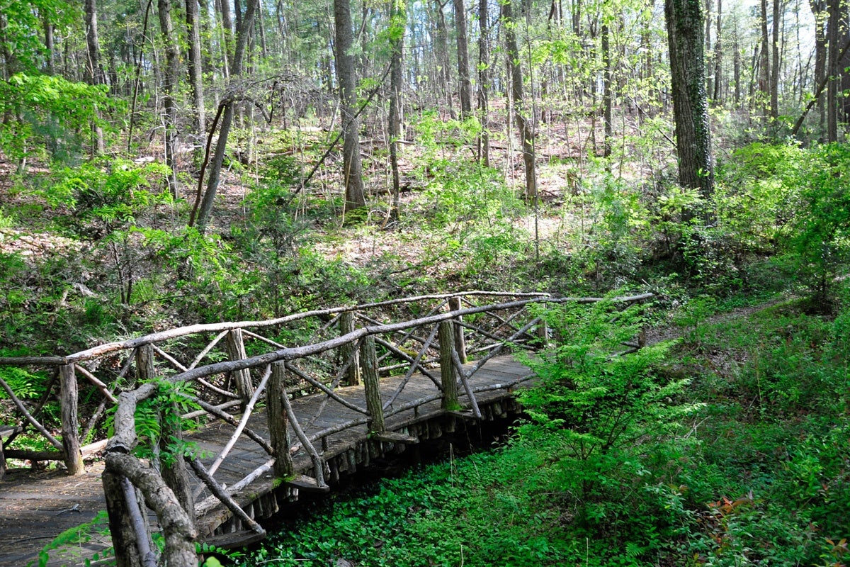 Bloom Report - Biltmore