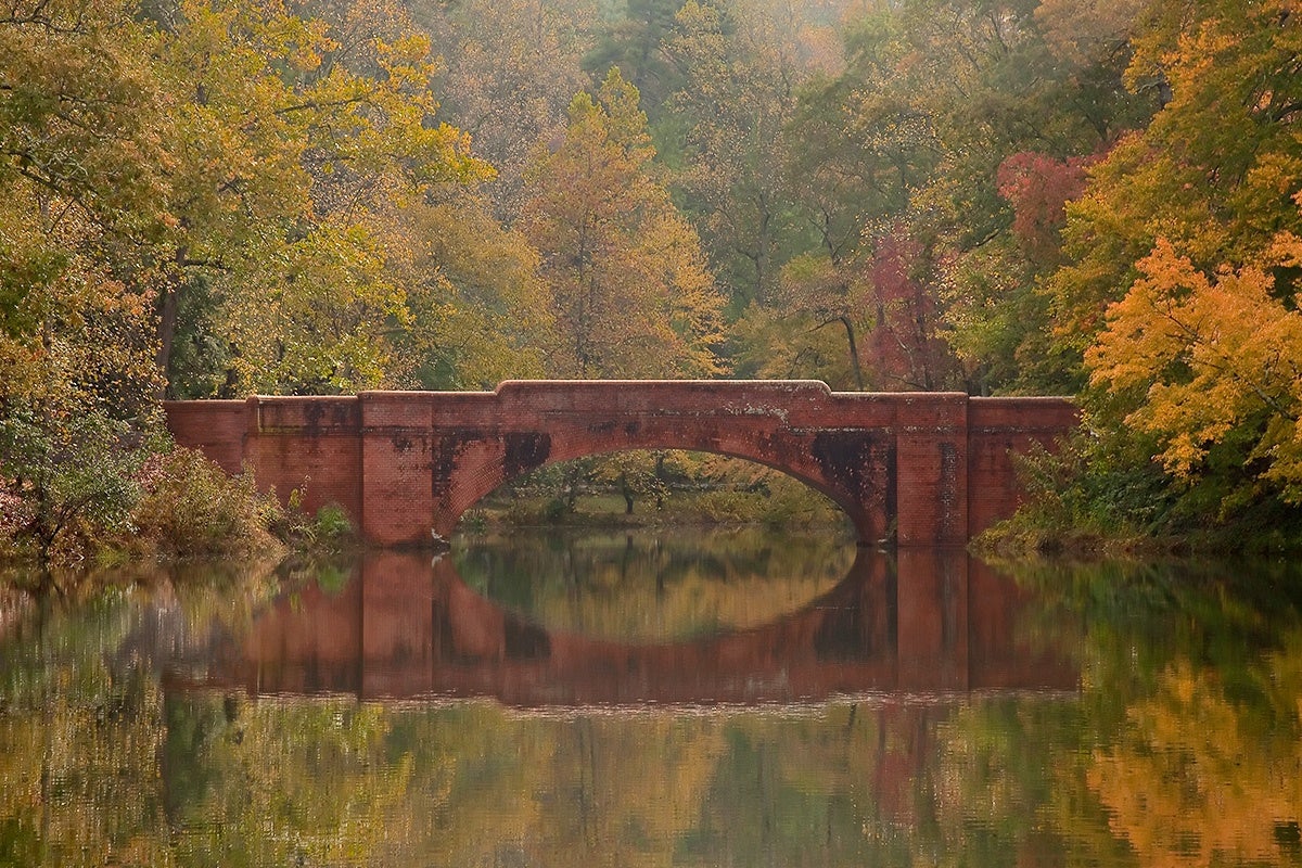 Fall Color Report - Biltmore