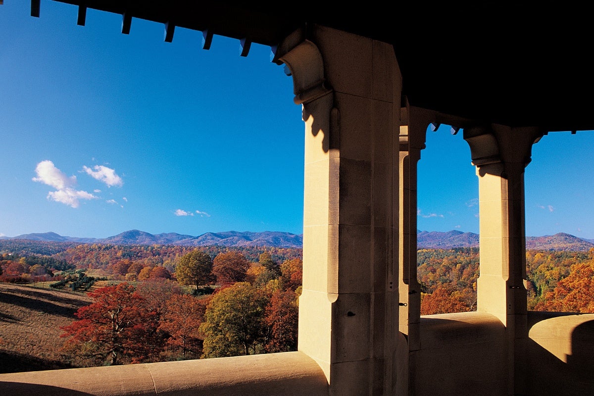 Fall Color Report - Biltmore