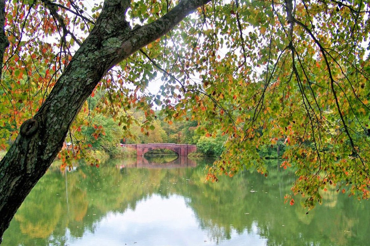 Fall Color Report - Biltmore