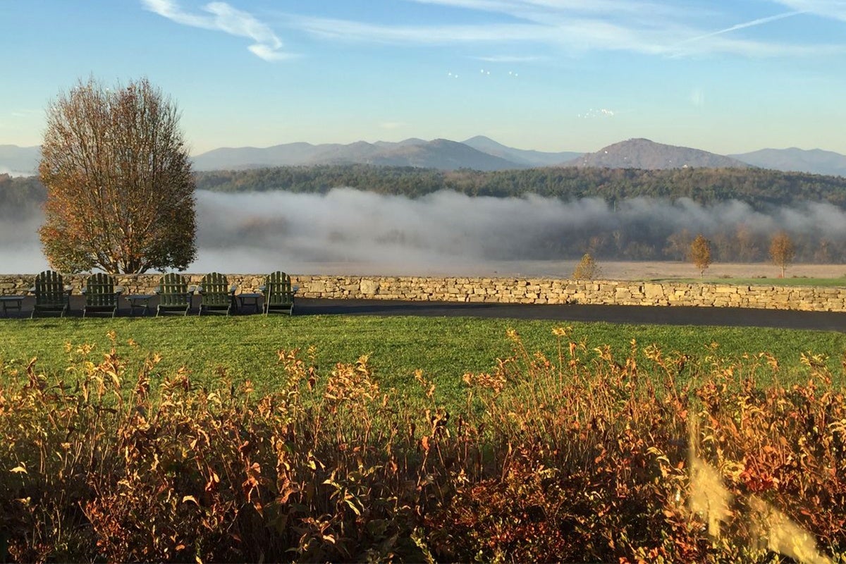 Fall Color Report - Biltmore