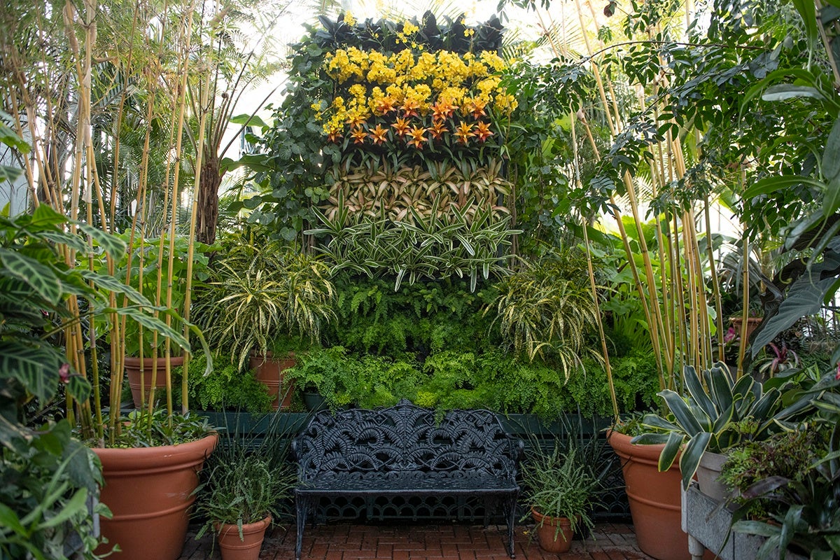 Spring at Biltmore - Biltmore