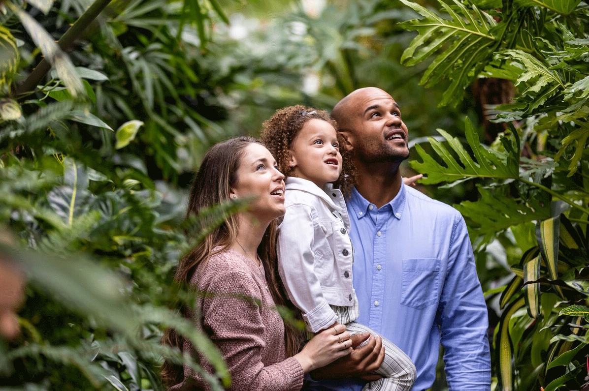 Off the beaten path: Hidden gems of Biltmore - Biltmore