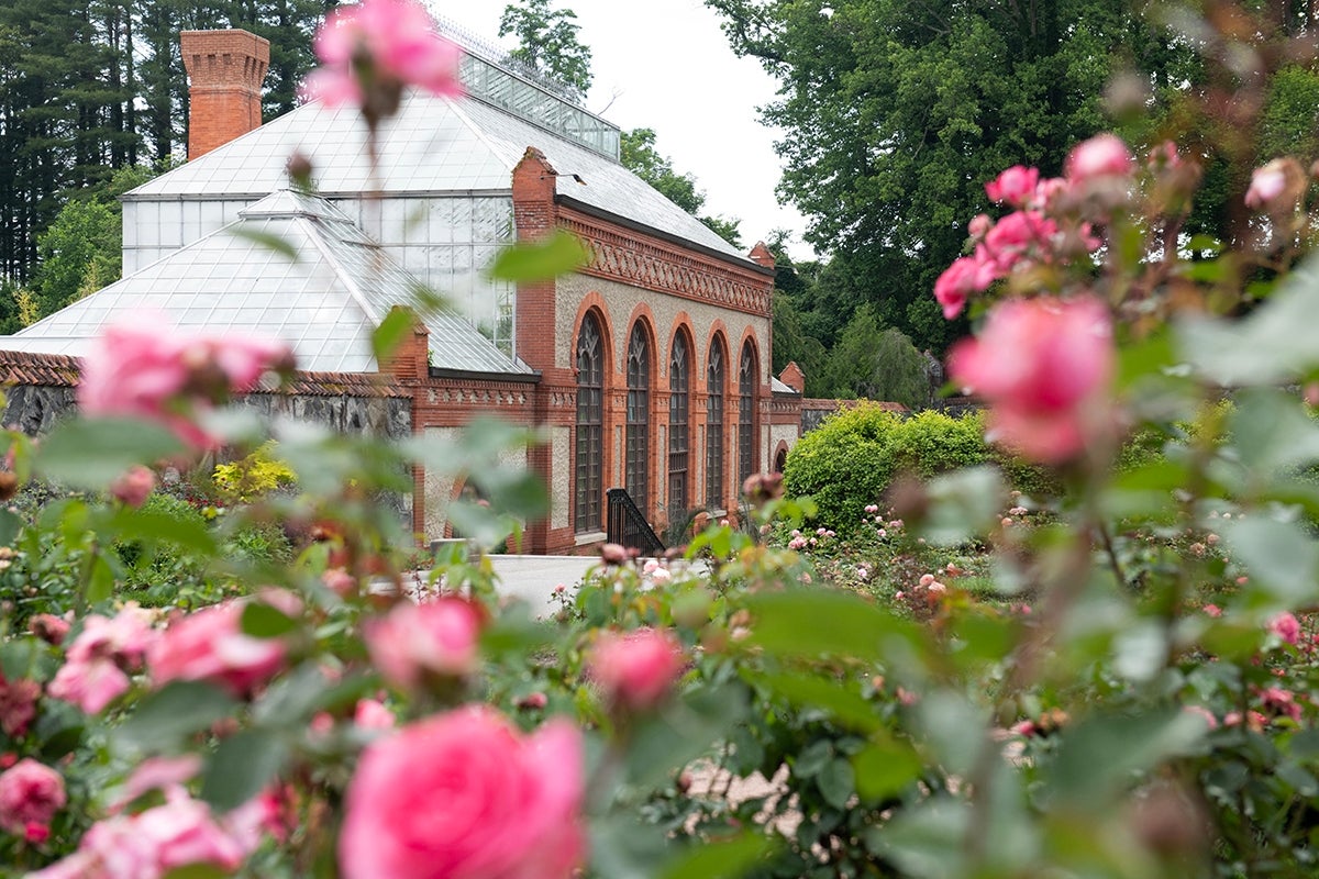 Bloom Report - Biltmore