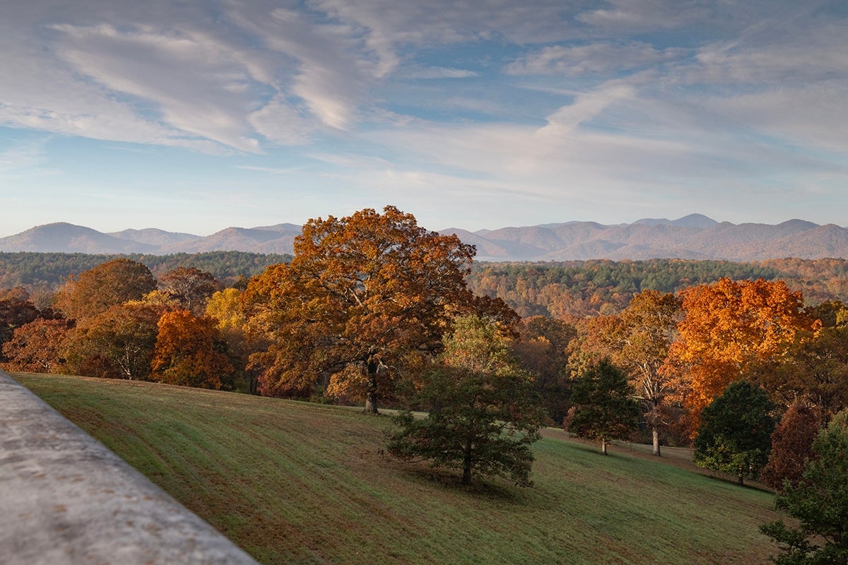Fall Color Report - Biltmore