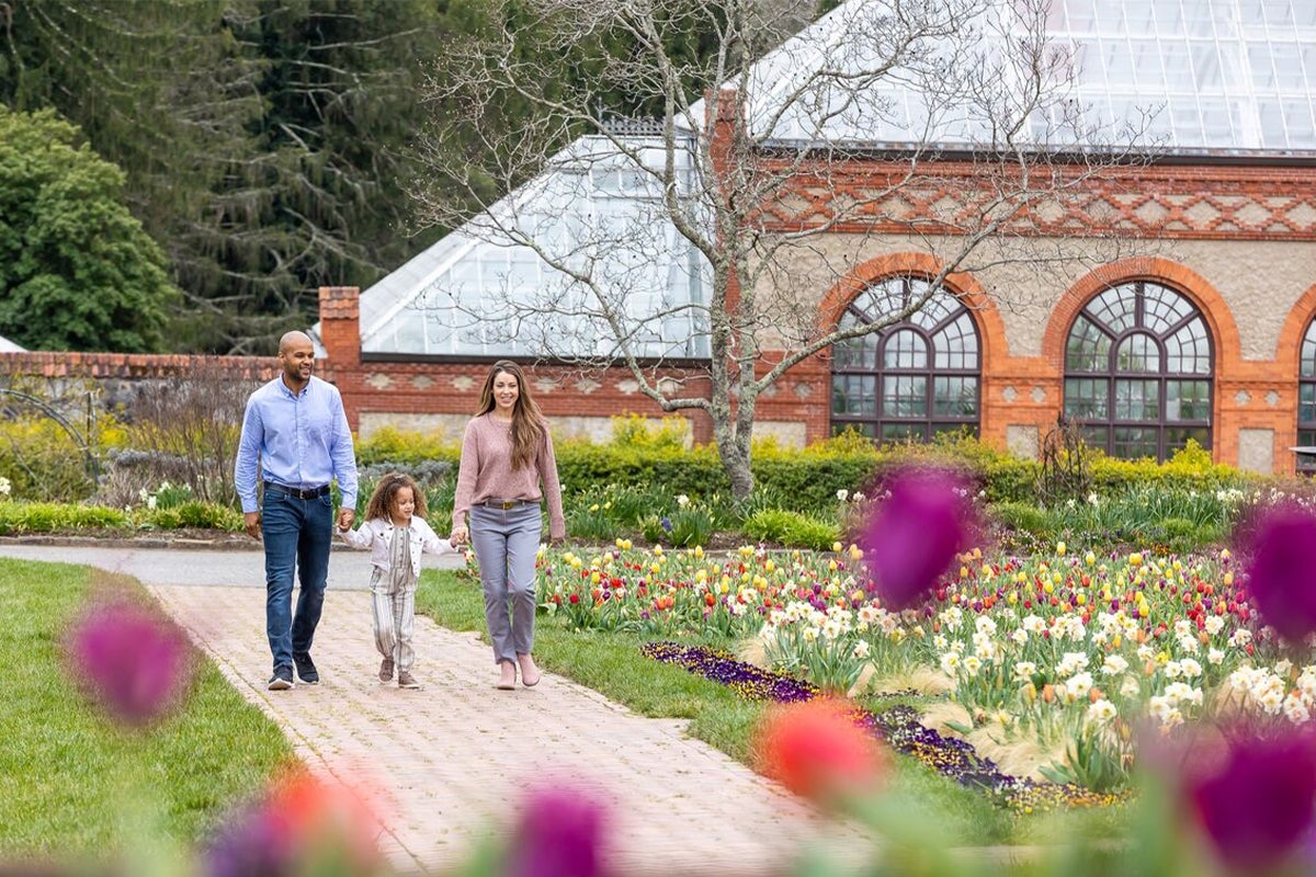 Spring at Biltmore - Biltmore