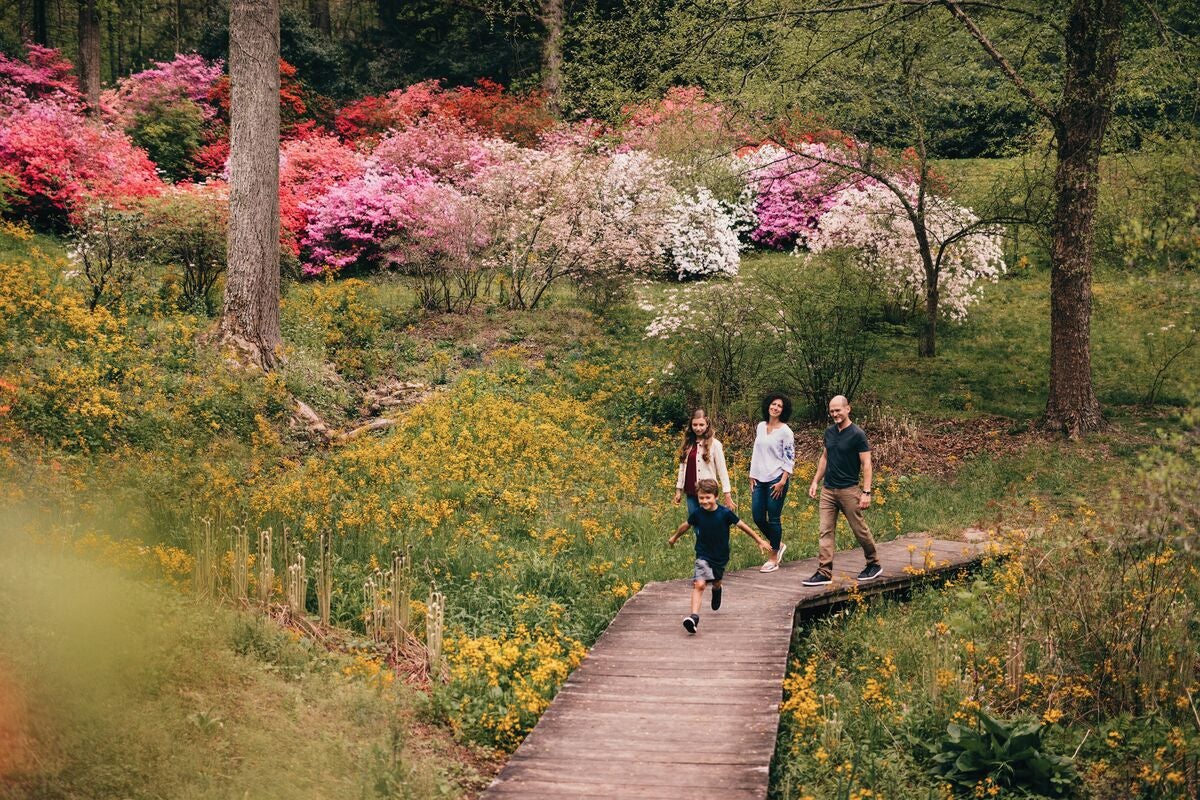 Spring at Biltmore - Biltmore