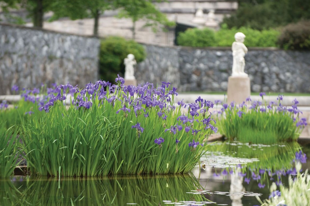 Spring at Biltmore - Biltmore