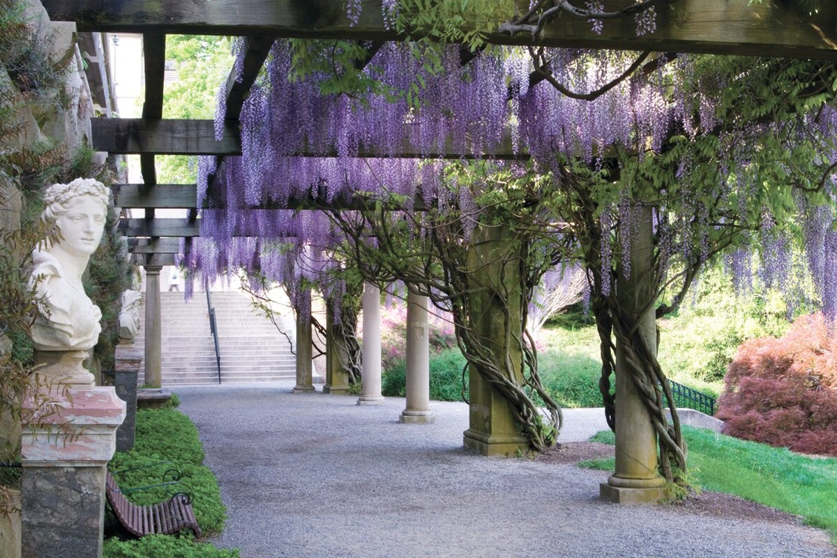 Spring at Biltmore - Biltmore