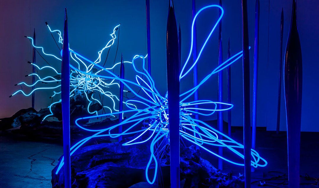 Presenting the Artist: Dale Chihuly - Biltmore