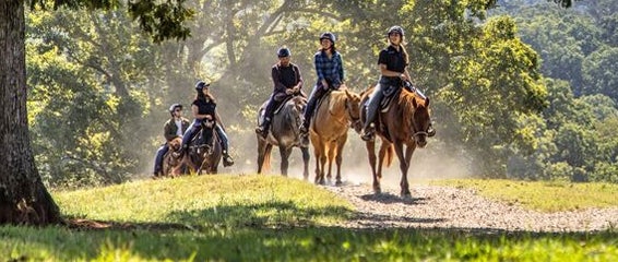 Cottages on Biltmore Estate