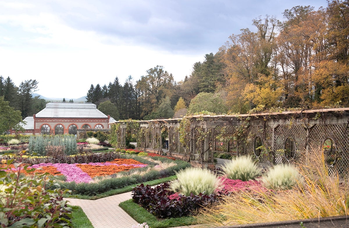 Fall Color Report - Biltmore